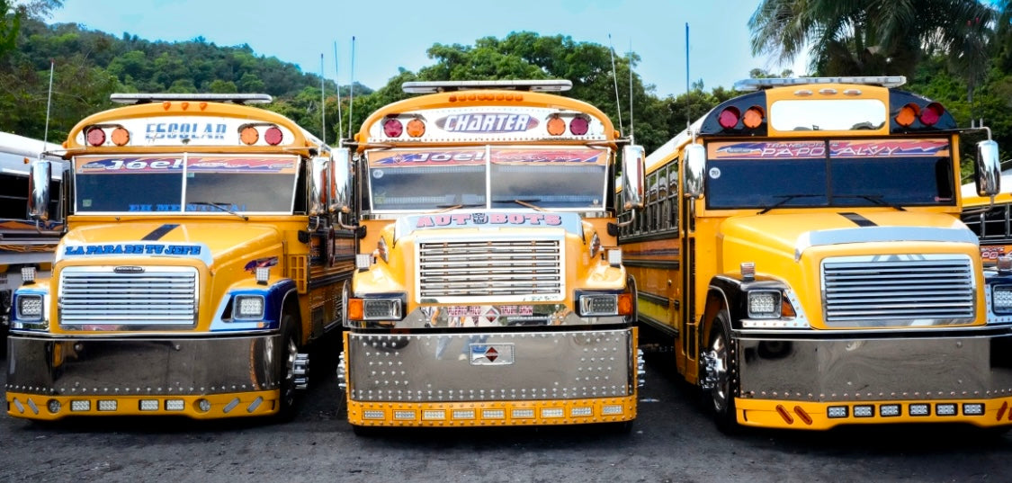 Transporte Papo Alvy Inc – Transporte Papo Alvy Inc.